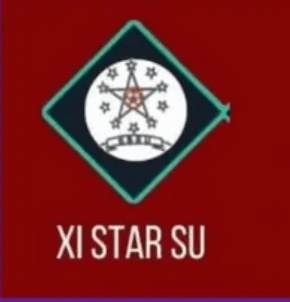 XI Star SU | Results, Fixtures, Stats and News from all the Indian ...